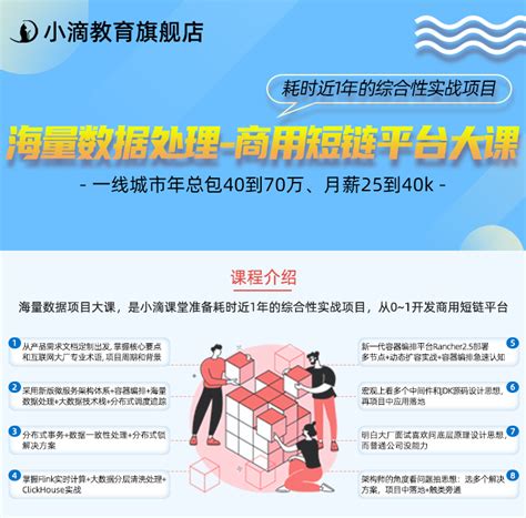 海量数据处理 商用短链平台微服务项目大课视频教程 架构大数据 学习视频教程 腾讯课堂