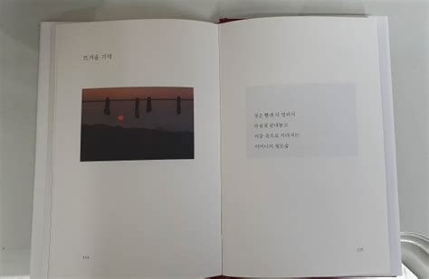 출사코리아