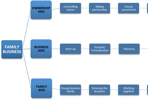 The 3 Axes Gersick Davis Hampton And Lansbergs Model Re 3 The