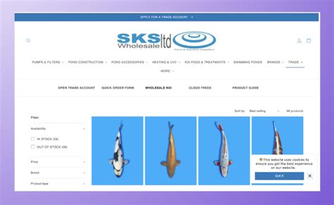 how to add a bulk order form in shopify [2025]