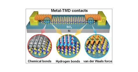 Unraveling The Role Of Interfacial Interactions In Electrical Contacts