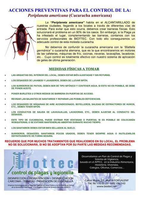 El Blog De Biottec Recomendaciones Para Prevenir La Cucaracha Americana