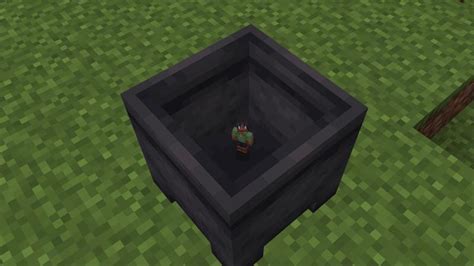 Size Shifter By Ascent Minecraft Marketplace Map Minecraft