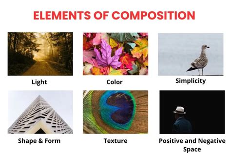 What Is Composition In Photography Ultimate Guide 2024 What Is Composition In Photography Ultimate Guide 2024
