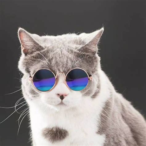 Basic Point Basic Point Added A New Photo — At Basic Point