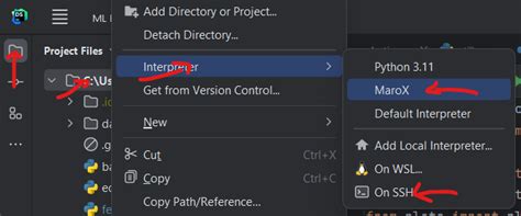 Remote Interpreter Dataspell Stack Overflow