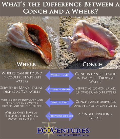 Whats The Difference Between Sea And Ocean