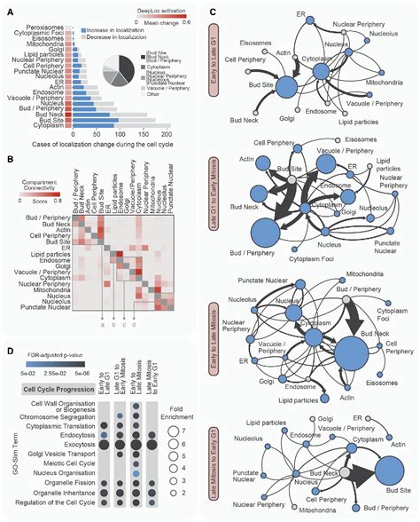 Figure 2 From Proteome Scale Movements And Compartment Connectivity During The Eukaryotic Cell