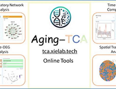 Seuratextend Streamlining Single Cell Rna Seq Analysis Through An