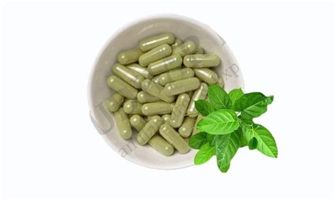 Diabetic Herbal Tablets And Capsules At ₹ 90 Bottle Diabetic Herbal Tablets In Jaipur Id