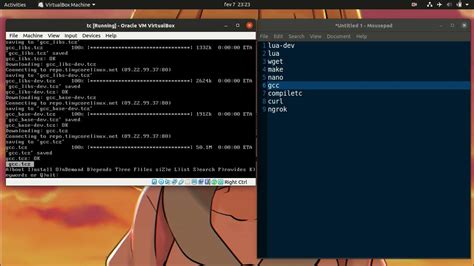 Setting Up Lua And Luarocks On Tiny Core Linux And Testing A Simple Web