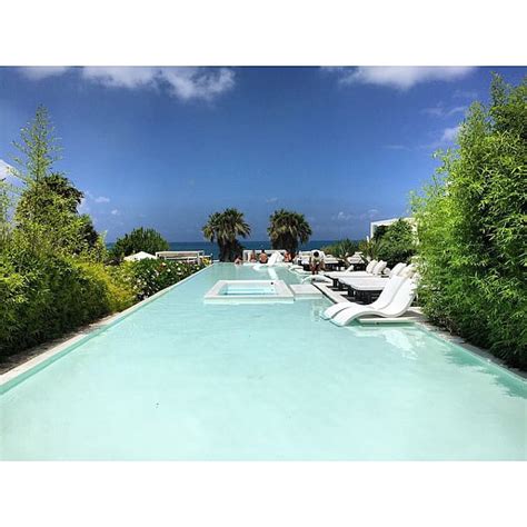 O R C H I D S By Joseph Ayoub 500px