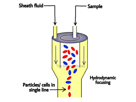 What Does A Flow Cytometer Do At Lara Roberts Blog