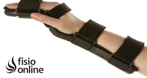 Férula Qué Es Para Qué Se Usa Y Funciones