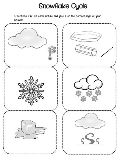 Snowflake Life Cycle Printables Artofit