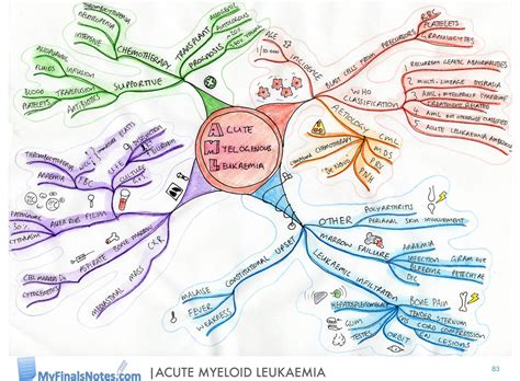 Acute Myeloid Leukaemia Myfinalsnotes
