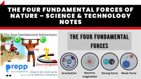 The Four Fundamental Forces Of Nature Science And Technology Notes