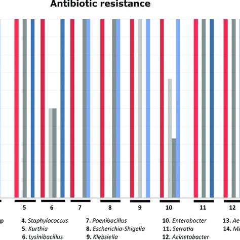 Antibiotic Resistance Chart The X Axis Shows The Morphotypes Of Each