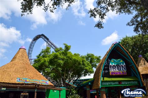 Iron Gwazi Busch Gardens Tampa