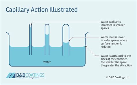 What Is Capillary Action