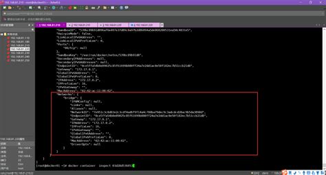 Docker网络、端口映射详解篇（三）docker端口映射 Csdn博客