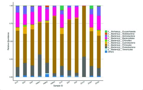 Taxonomic Classification Of The 16s Rrna Sequences At Phylum Levels