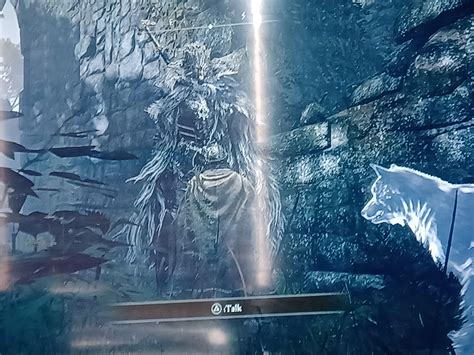 Blaidd Is Much Taller In Game Than He Appears In Screenshots Reldenring