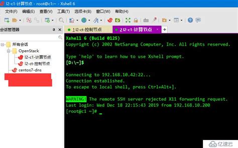 Openstack Train版双节点安装（七）安装计算服务nova（计算节点） 云计算 亿速云