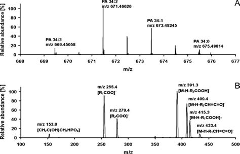 Identification And Structural Elucidation Of Pa Representative Download Scientific Diagram