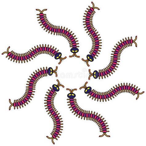 Millipede Convention Stock Illustrations 1 Millipede Convention Stock