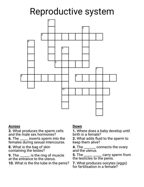 Reproductive System Crossword Wordmint