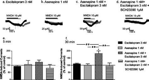 Effects On N Methyl D Aspartate Nmda Induced Currents In Pyramidal