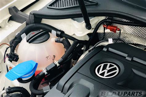 How To Add Coolant To Vw Polo At Marvella Luce Blog