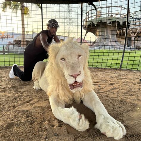 Dawit Tewelde Sharegrid