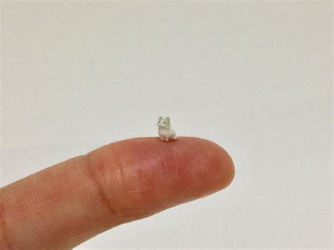 Pin By ୨୧ On Tiny Mini Things Miniature Crafts Miniture Things