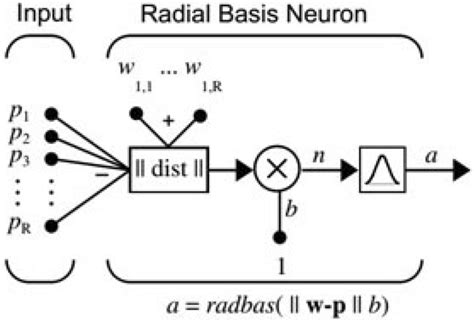A Schematic View Of An Rbn Bodyanskiy Et Al 2015 Download Scientific Diagram