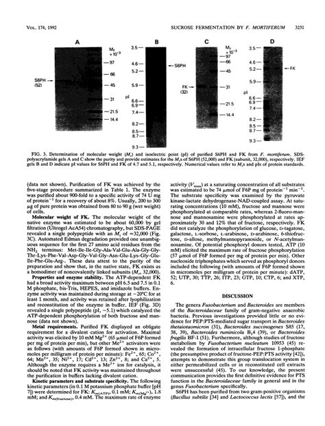Sucrose Fermentation By Fusobacterium Mortiferum Atcc 25557 Transport