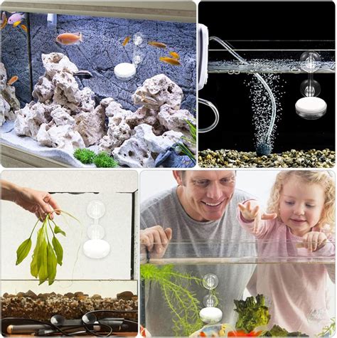 Mipcase 5 Sets Quiet Oxygen Diffuser Review Hydroponic Gardening