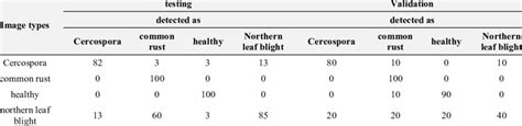 Testing Results For Segmented Images Scenario 80 Training Data