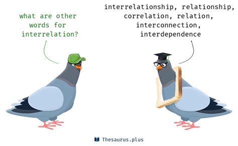 Interrelation Synonyms And Interrelation Antonyms Similar And Opposite Words For Interrelation