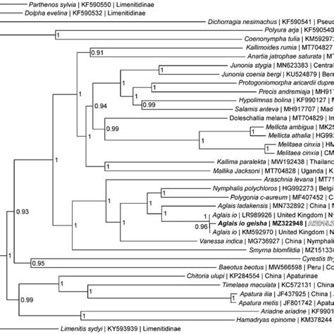 The Bayesian Phylogeny Gtr þ I þ G Model Average Potential Scale