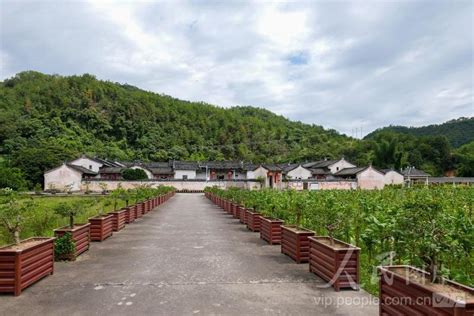 广东梅州：张弼士故居旅游区 人民图片网