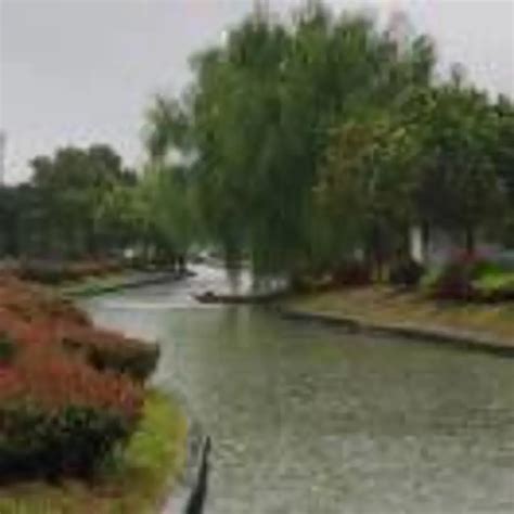 4k云霄仙子壁纸 师兄啊师兄壁纸 美图合集「哲风壁纸」