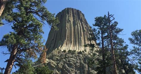 Was A Giant System Of Roots Discovered Below The Devils Tower Rock