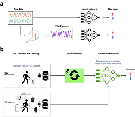 Workflow Of Training And Testing Step Count Algorithms A Model Input