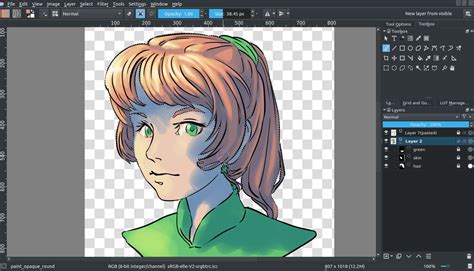 Flat Coloring Krita Manual 5 2 0 Documentation