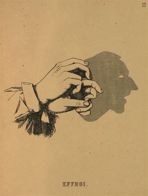 Pin By Amanda Lau On Illustration Hand Shadows Shadow Art Shadow