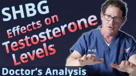 Shbg Sex Hormone Binding Globulin Effects On Testosterone Levels Doctors Analysis Youtube