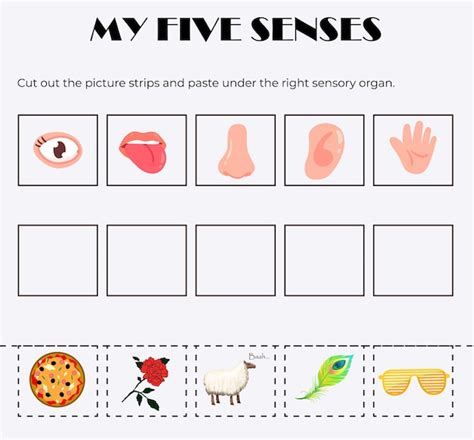 Meine Fünf Sinne Premium Vektor