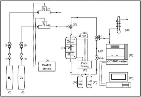 Experimental Reactor Setup Kinetics Modeling Of Olefin Synthesis On